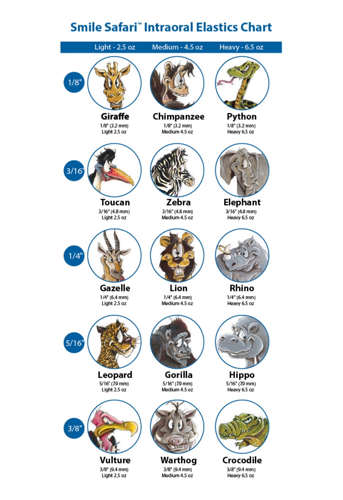 Smile Safari Intraoral Elastics